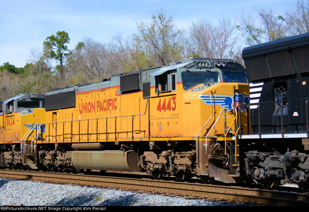 UP 4443 on NS Train Z4Q